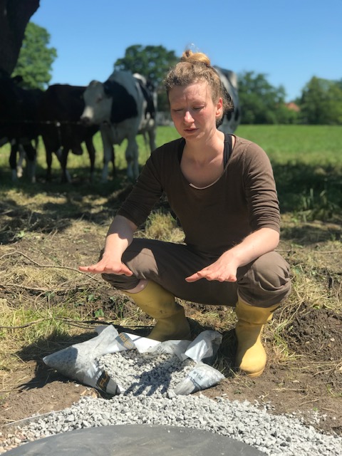 Von Knicks, Küken und Kreisläufen in der Landwirtschaft - Strandkorb ...